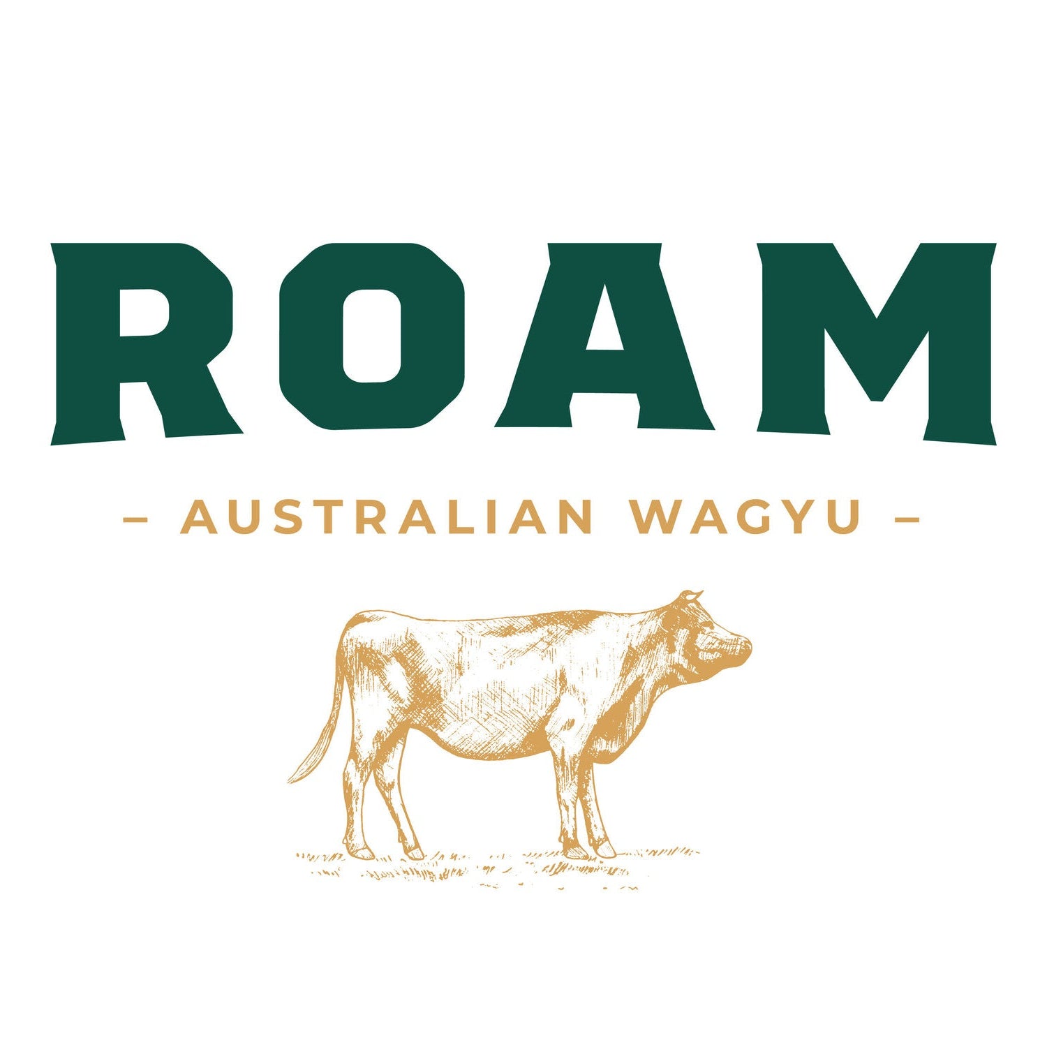 Australian M9+ Wagyu Ribeye Special – Steak King